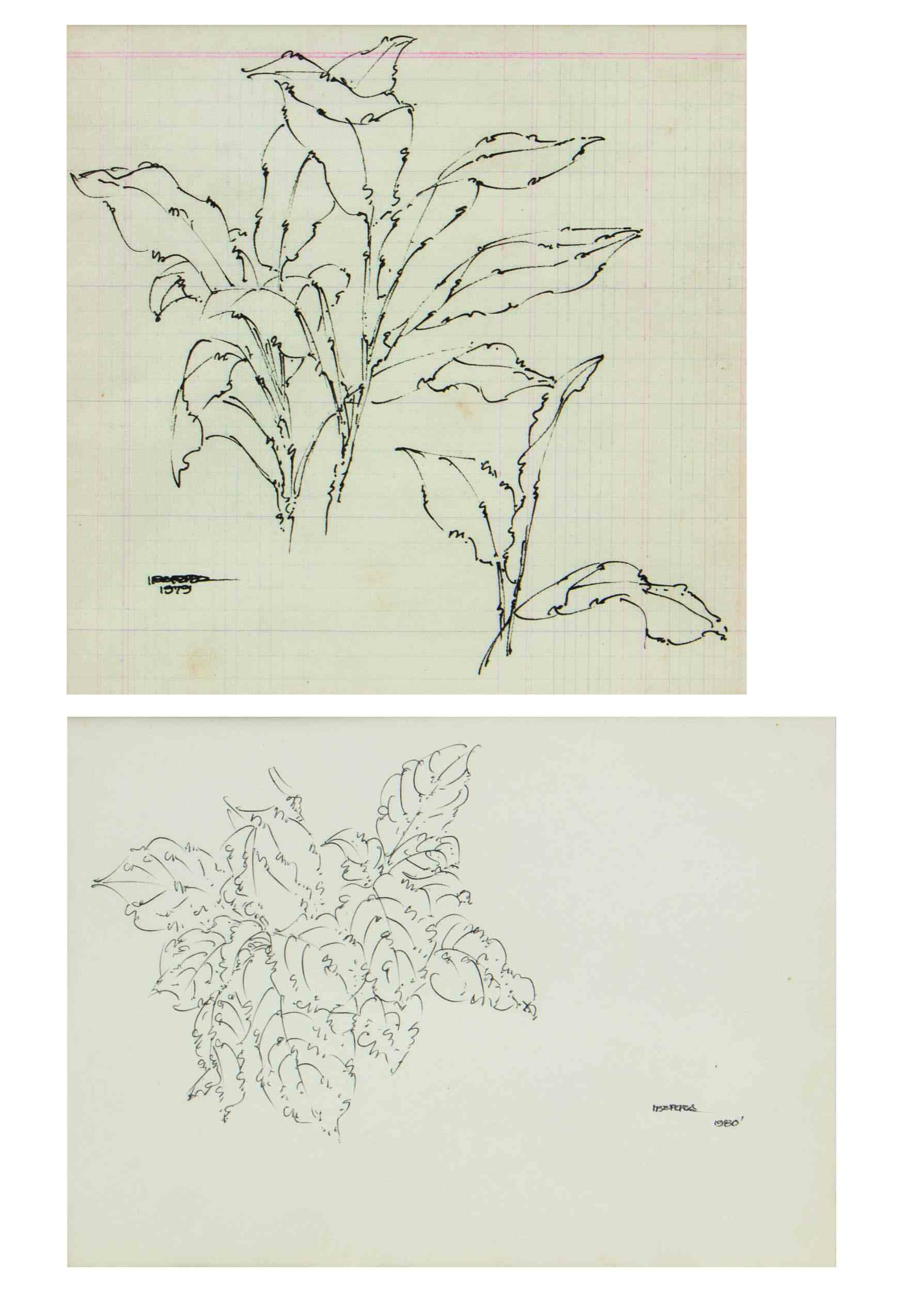 Ibarra dela Rosa (1943–1998) - A lot of two untitled drawings of leaves