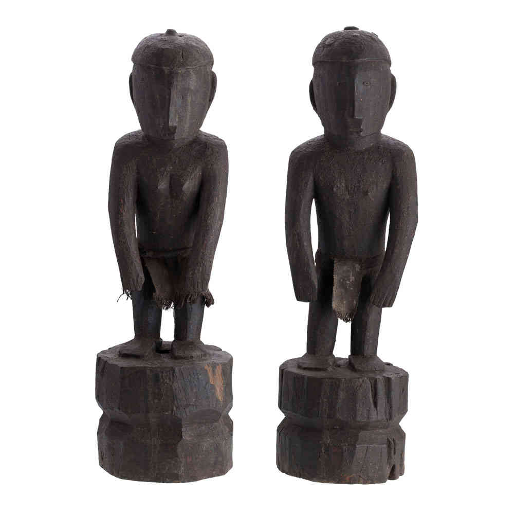 - A pair of male and female standing bululs