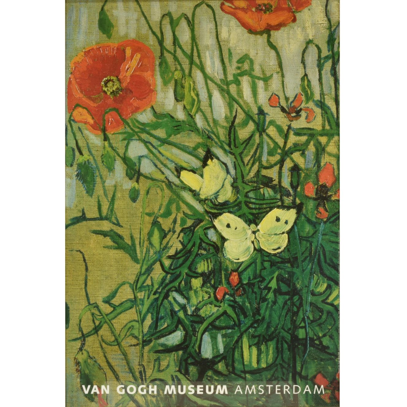 Van Gogh Museum Amsterdam - A 'Butterflies and Poppies' print