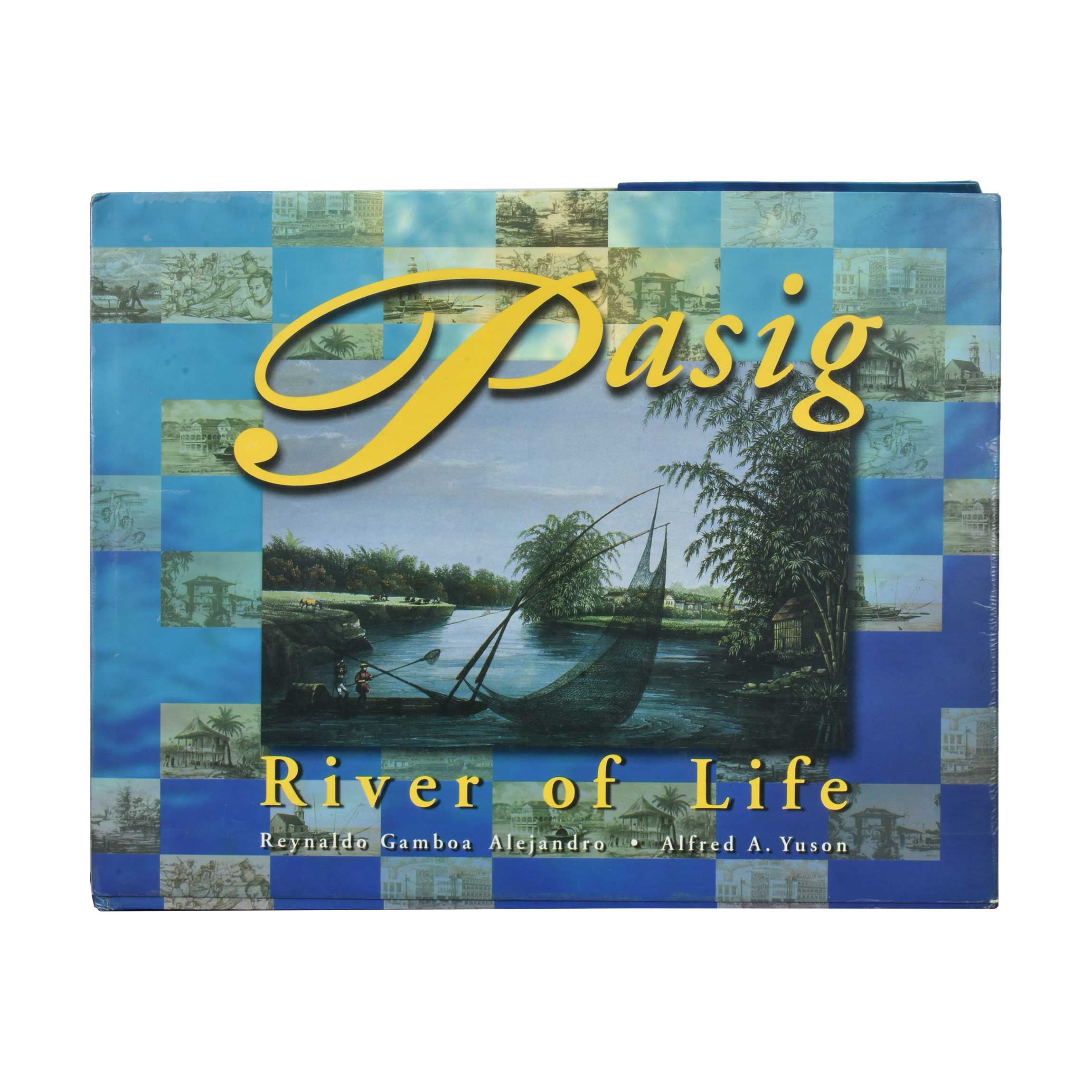 Reynaldo G. Alejandro - Pasig: River of Life