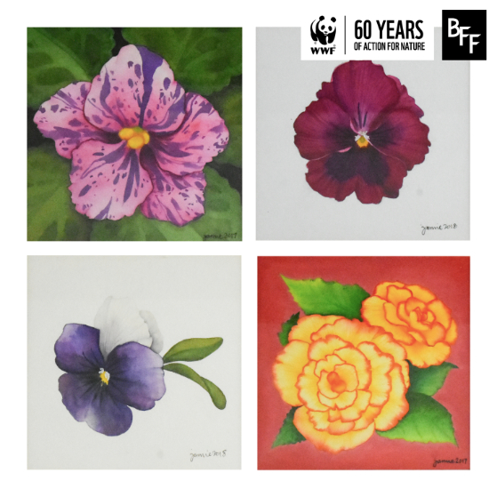 Jamie Bauza - Florals Series