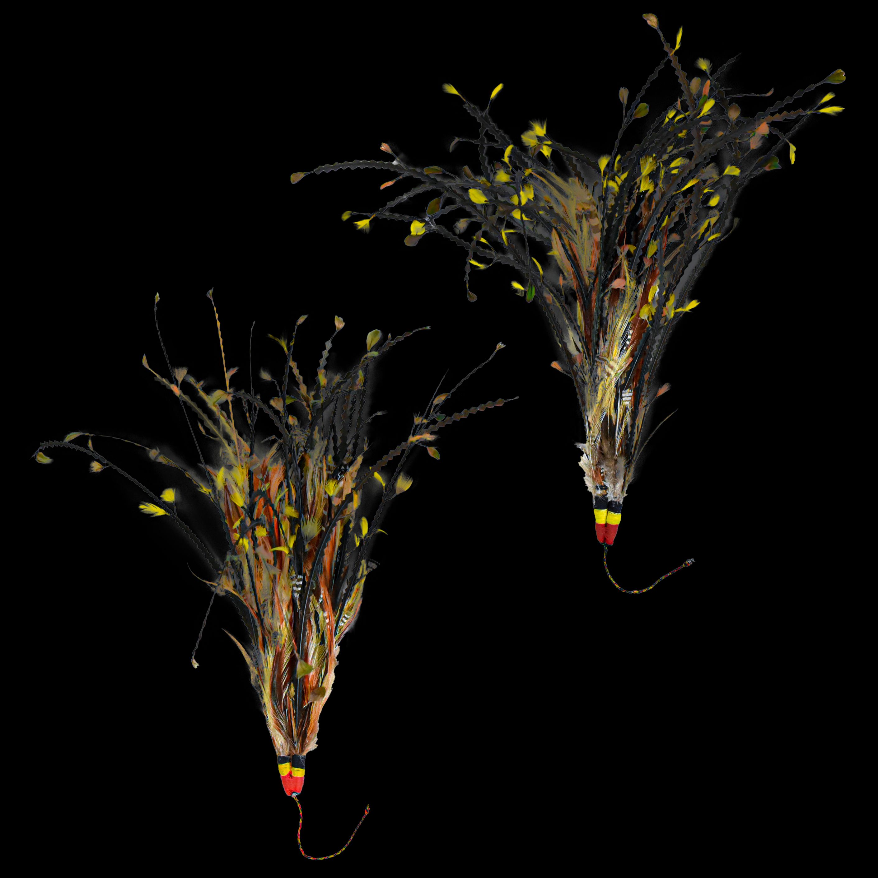 - A pair of 'uskong' / Kalinga feather headdress