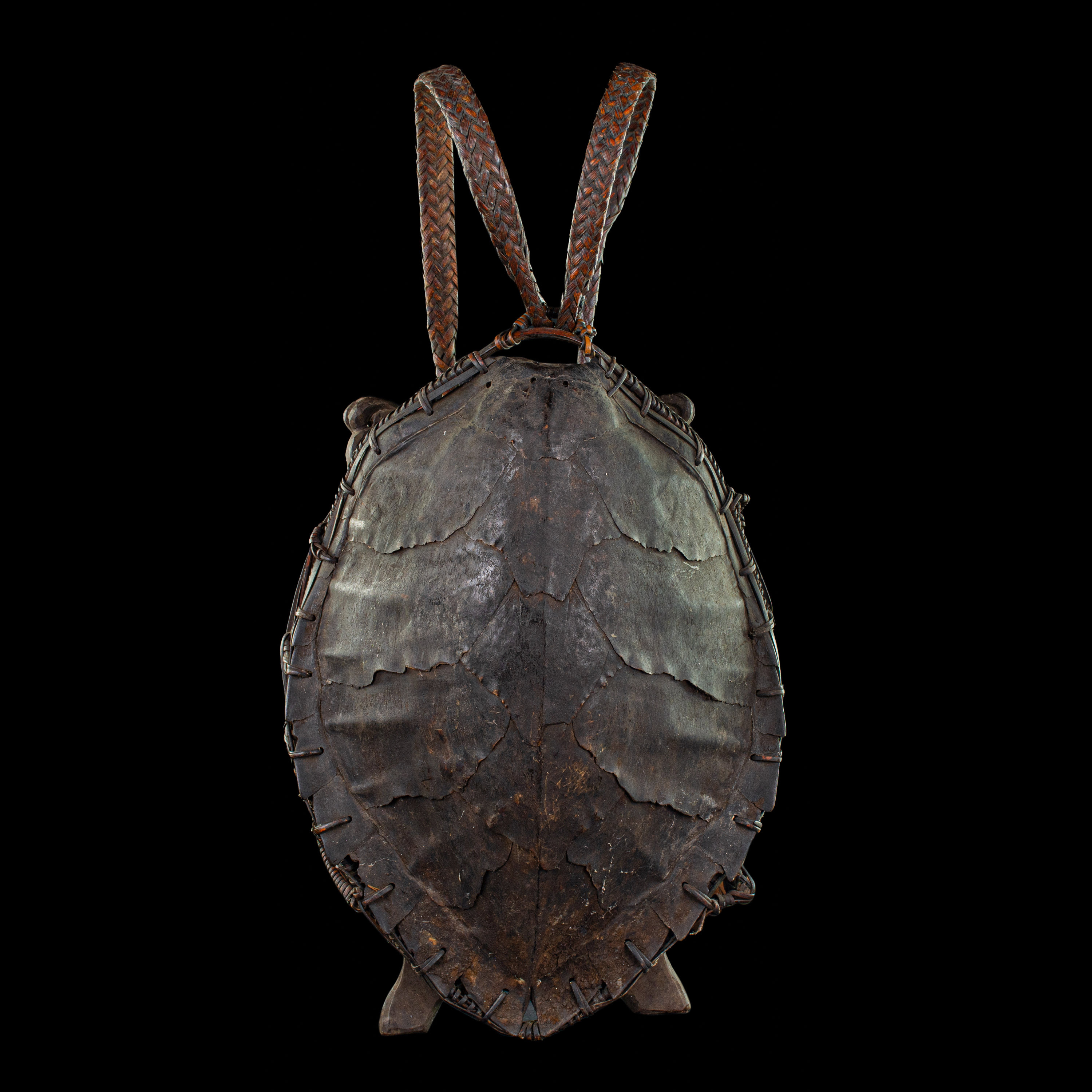- A tortoise shell backpack