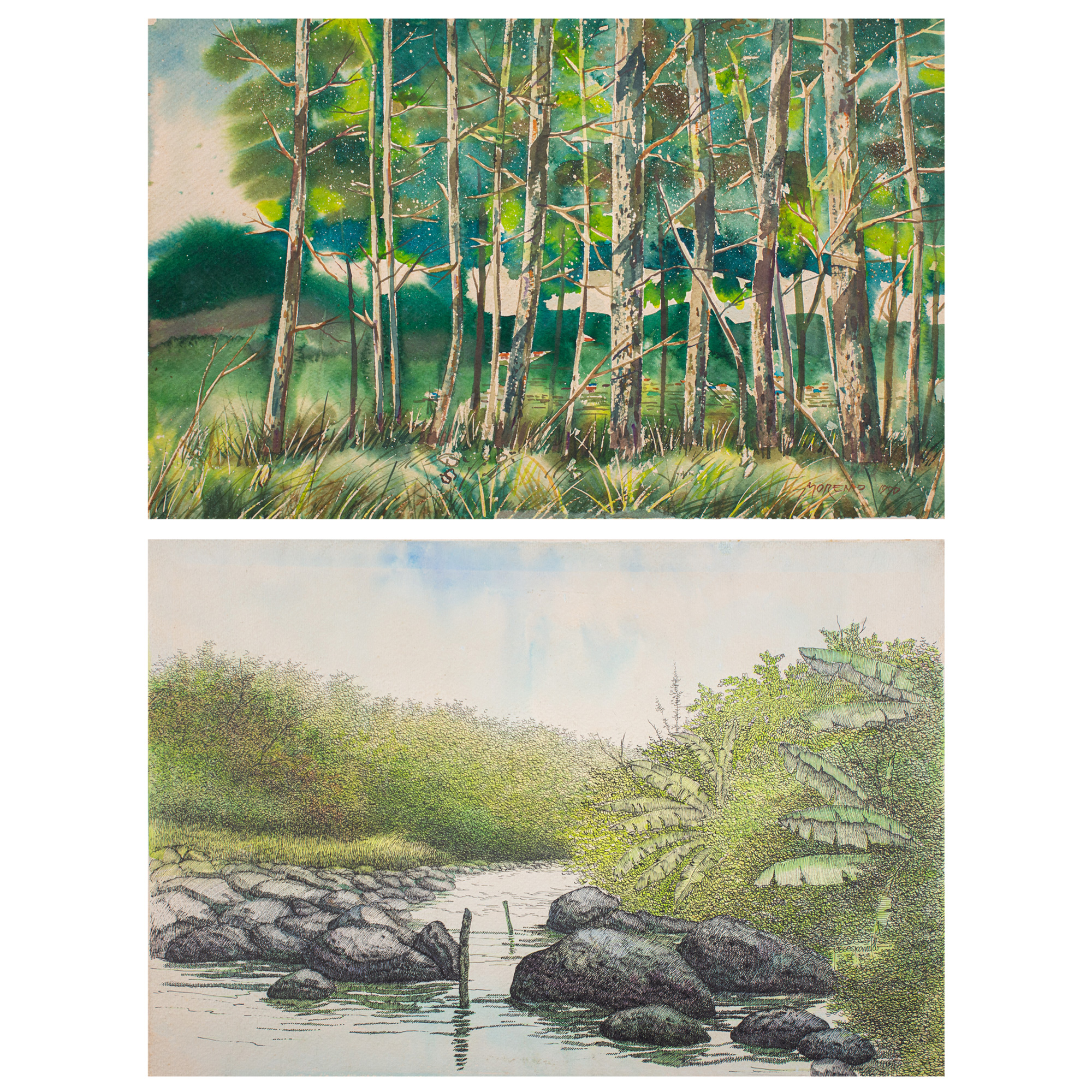 Moreno / Noli Espanola - Trees / Malbog brooks, Negros Occidental