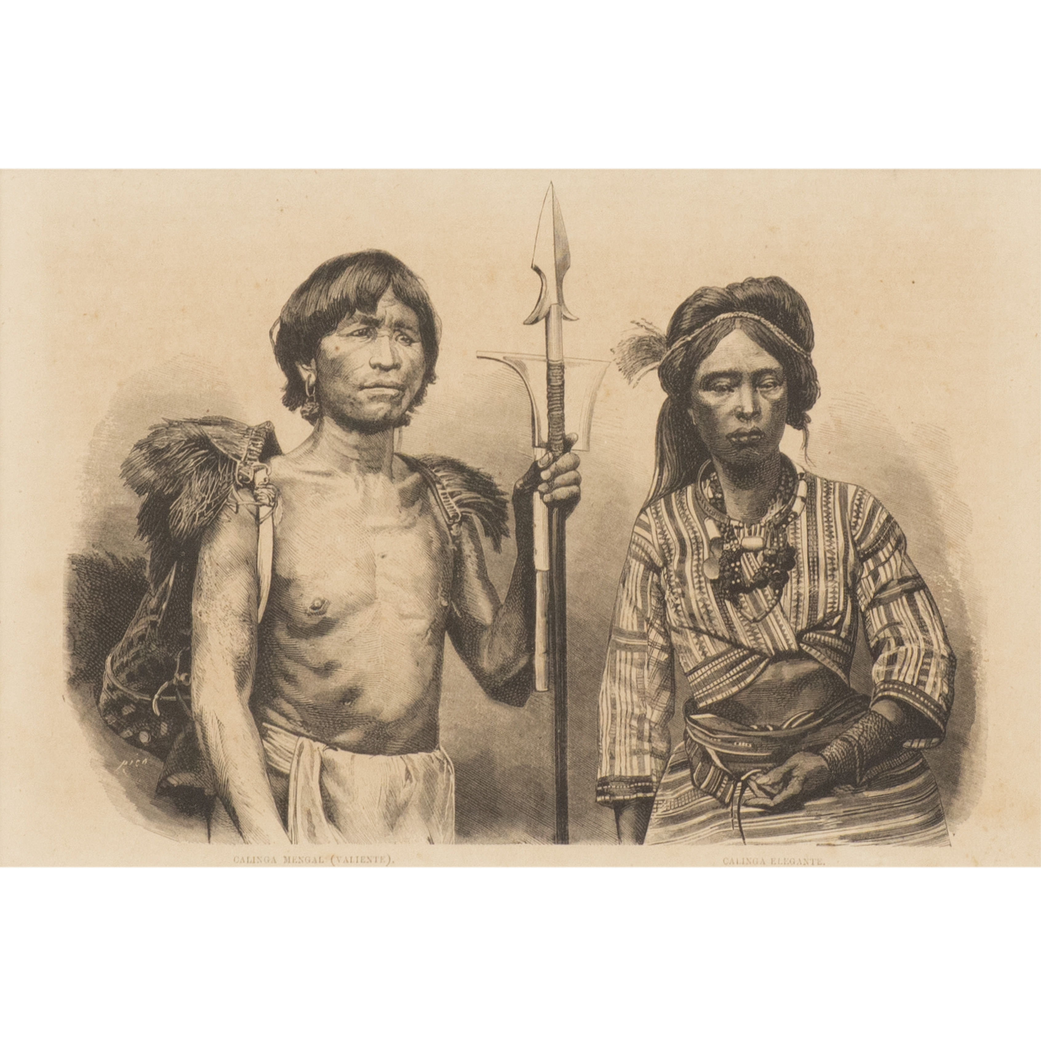 - Calinga mengel/elegante