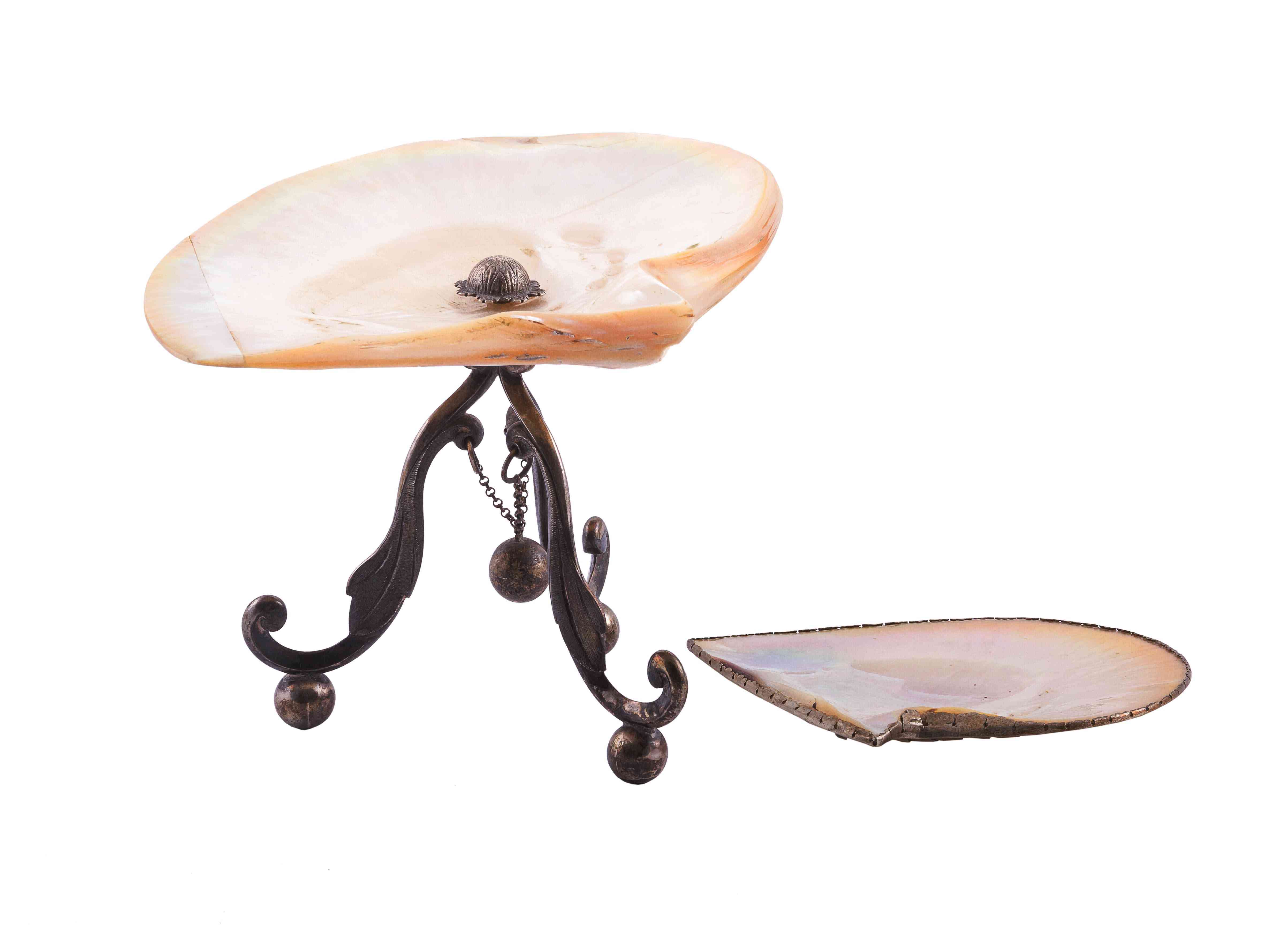 A lot of two Philippine silver mother of pearl shells