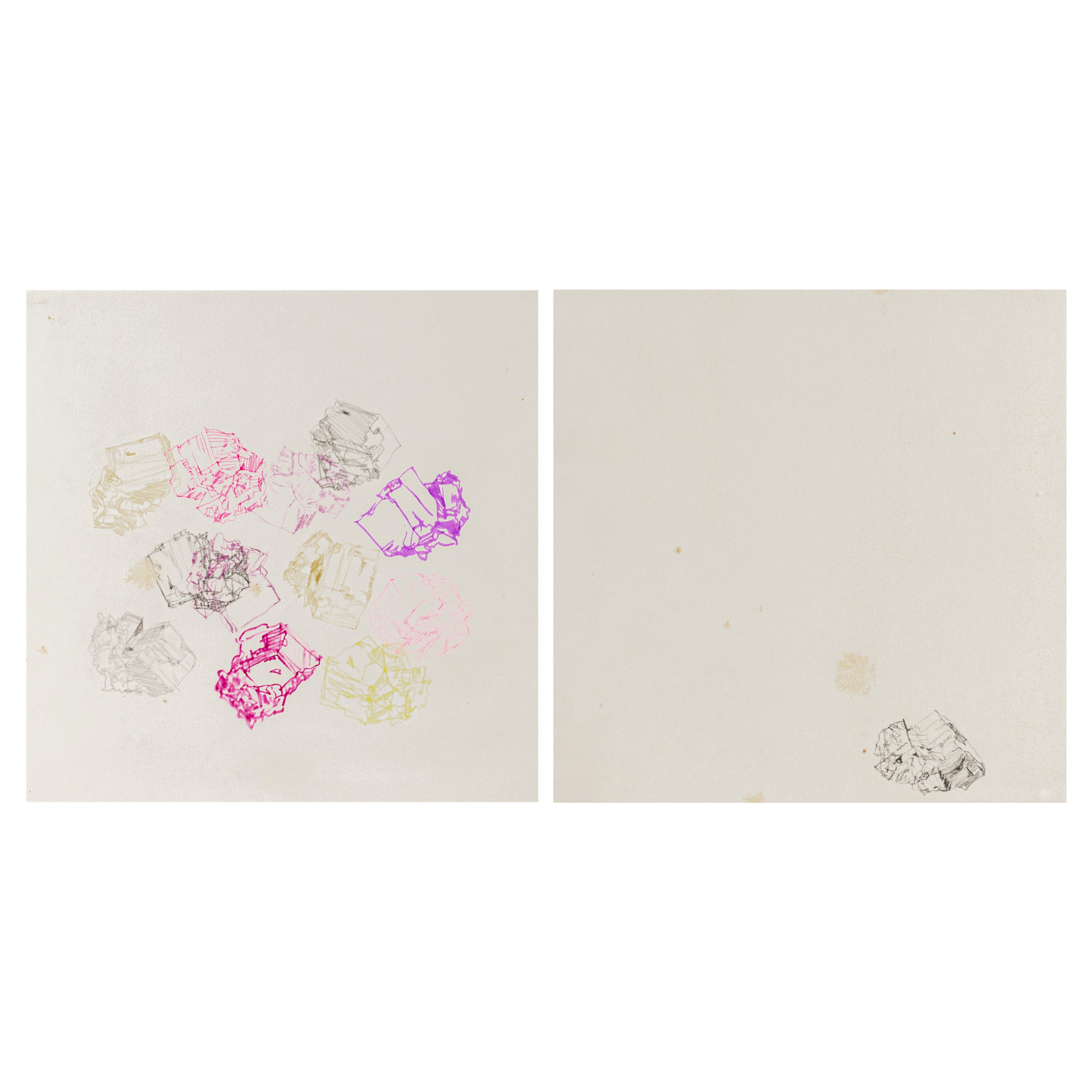 Issay Rodriguez (b. 1991) - FGC 2321 2333 (Diptych)