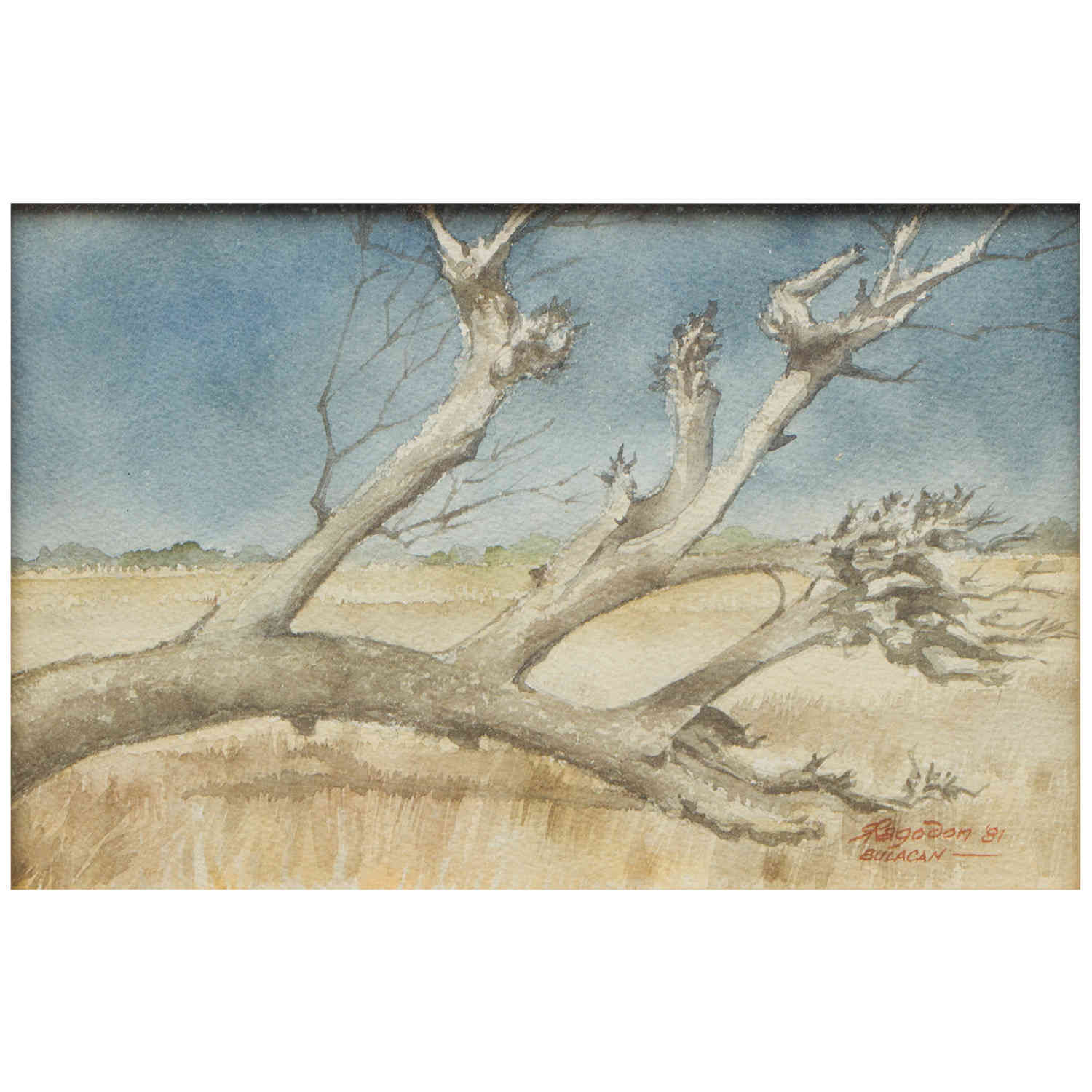 Rodolfo Ragodon - Bulacan