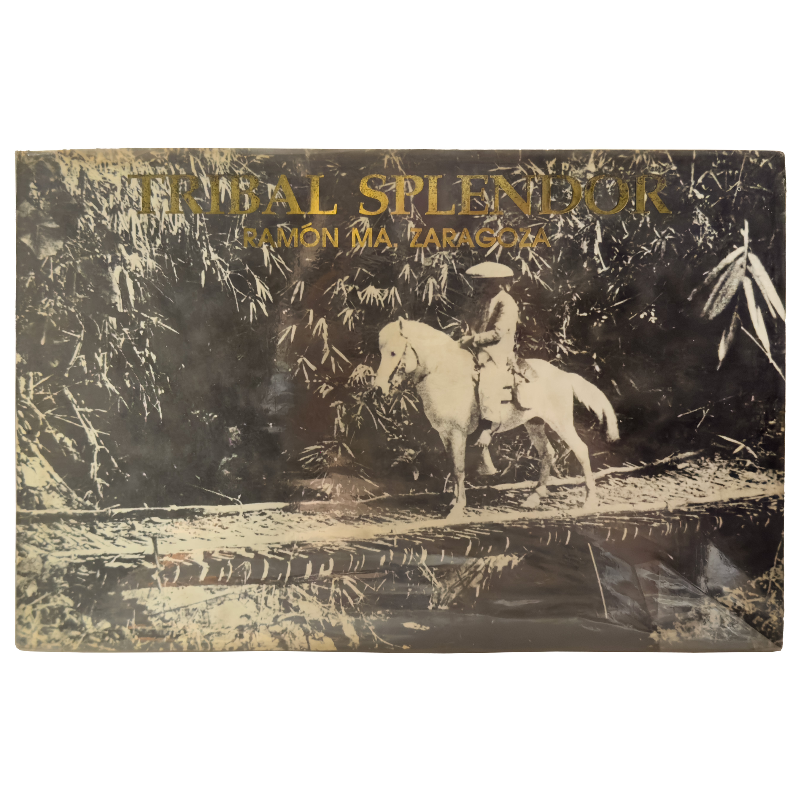Ramon Ma. Zaragoza - Tribal Splendor
