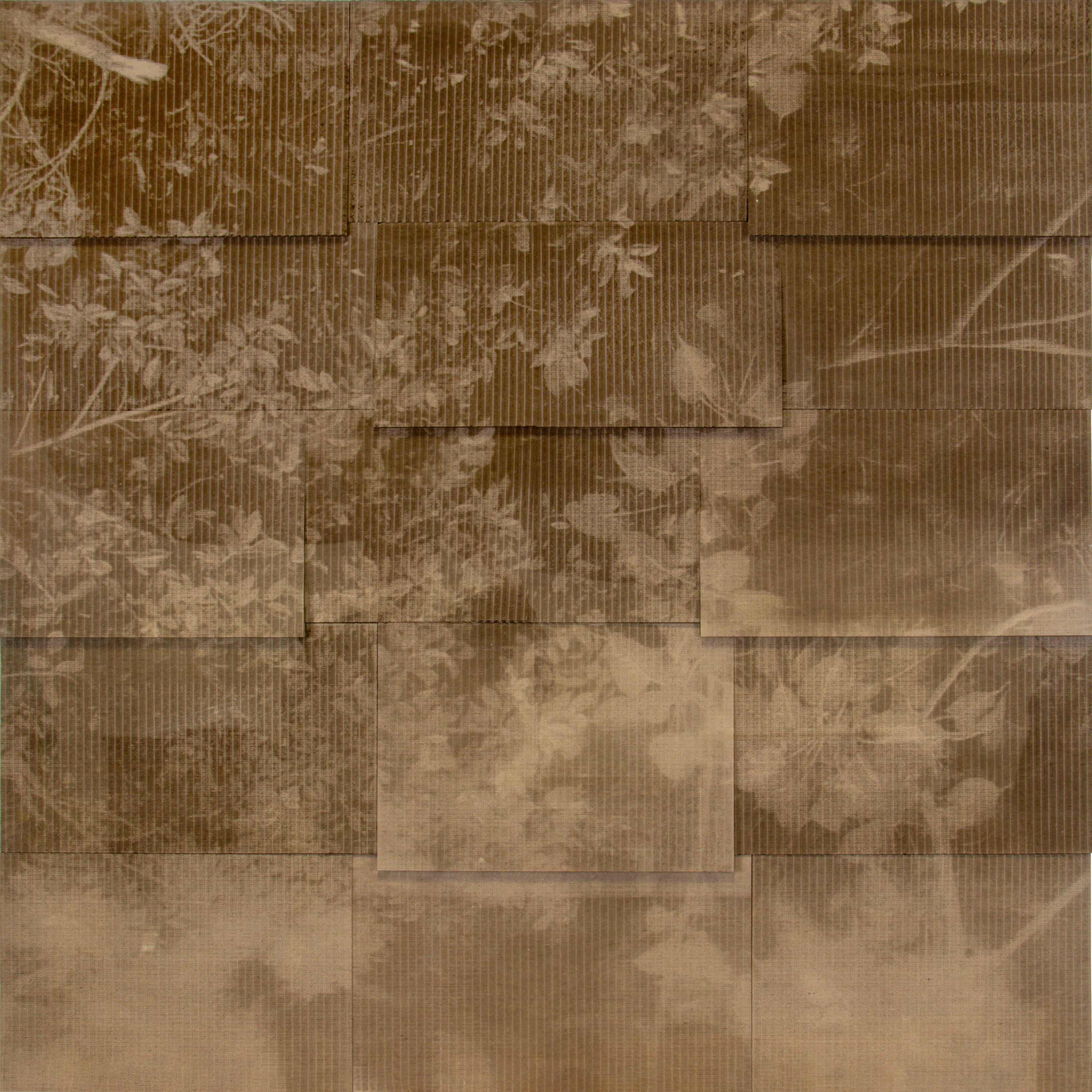 Jill Paz (b. 1982) - Untitled (Brook #9)